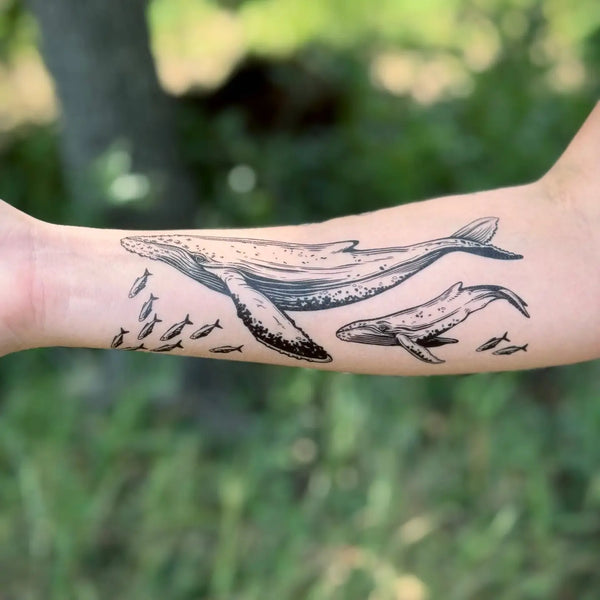 Blue Whale Temporary Tattoo – Drift & Amble